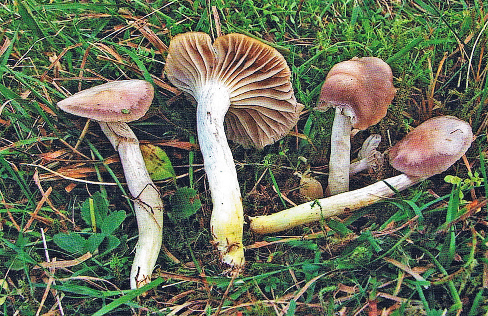 Museum Bautzen – Aktuelles